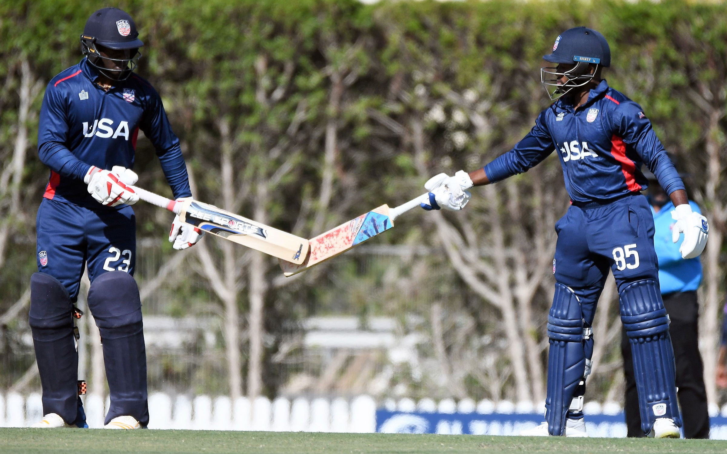 Minor League Cricket Announces Player Registration Opening - USA Cricket